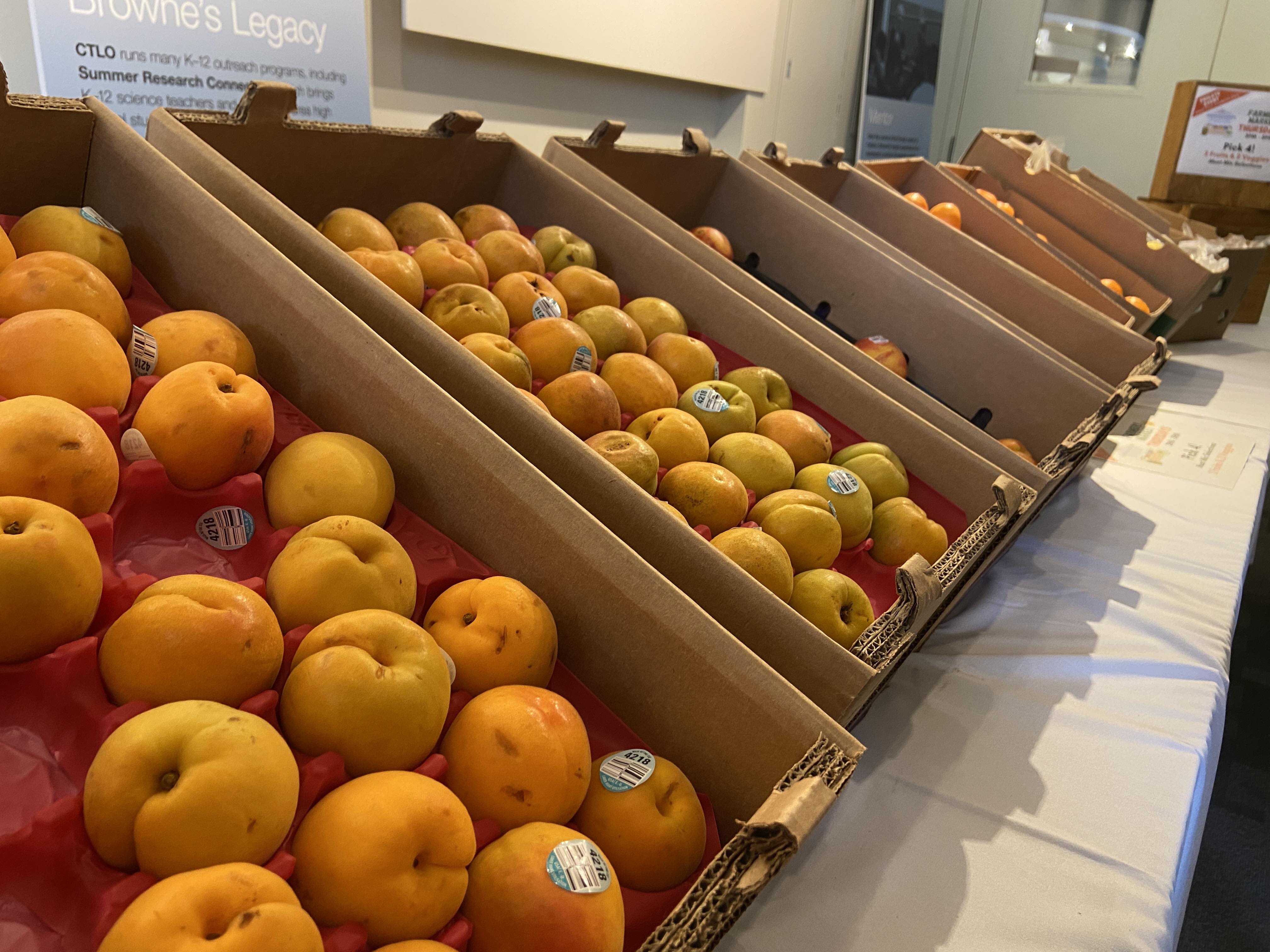 Caltech Dining Scoop: Plant yourself at the farmers market! - The ...